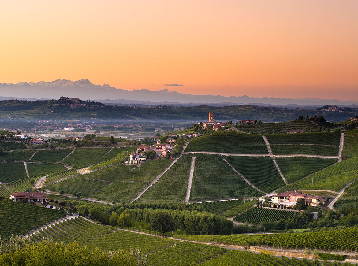 Get to Know Piedmont, Home to World Class Nebbiolo – Verve Wine NYC
